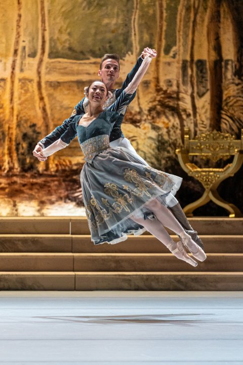 The Swan Lake | Events | Visit Bratislava